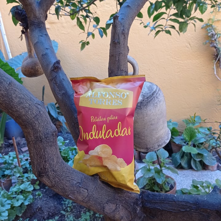 Alfonso Torres Patatas Fritas Onduladas Review | abillion