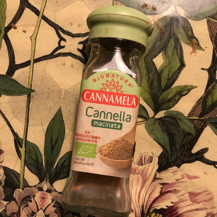 Cannamela Cannella Review | abillion