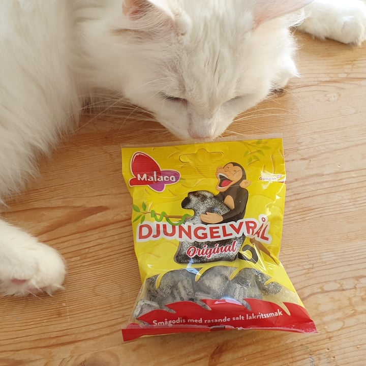 Malaco Djungelvrål Review | abillion