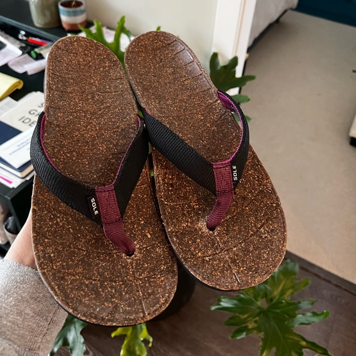 sole santa cruz flip Review | abillion