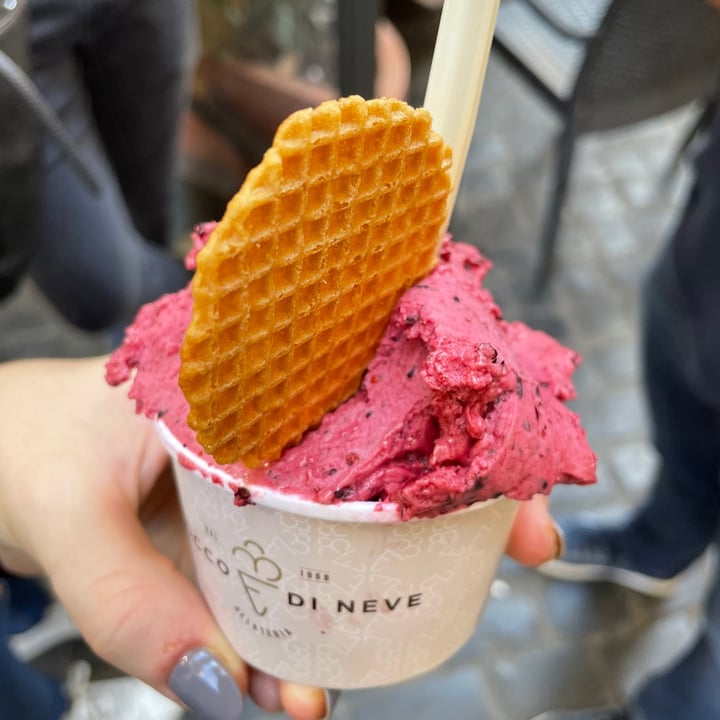 Fiocco di neve Roma, Italy Gelato Ai Frutti Di Bosco Review | abillion