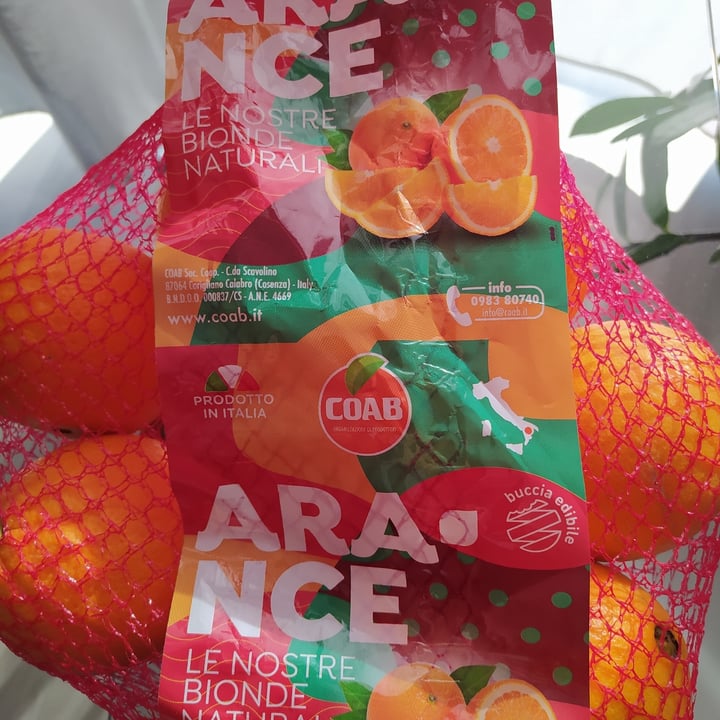 Coab soc.coop.agr. Arance navelina Reviews | abillion