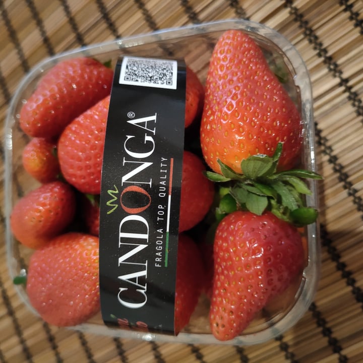 Candonga Fragole Review | abillion