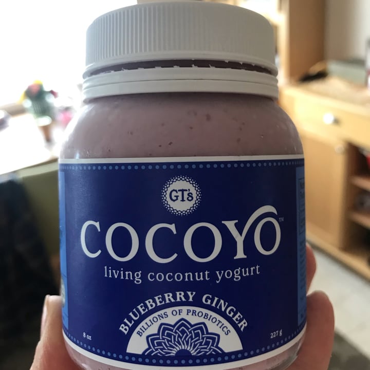 Cocoyo GT’s Cocoyo Review | abillion