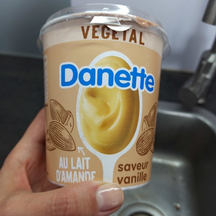 Danone Danette Review | abillion