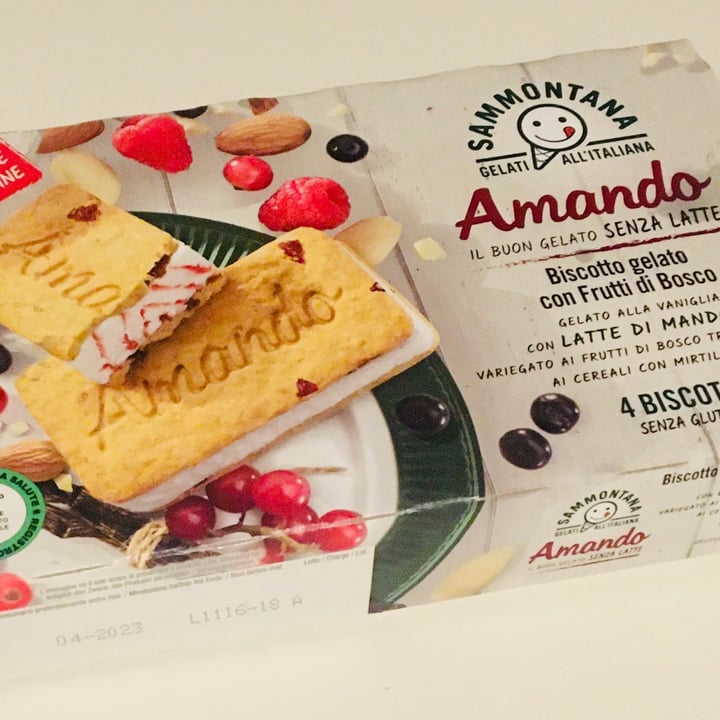 Sammontana Amando Sammontana Gelato Biscotto Review | abillion