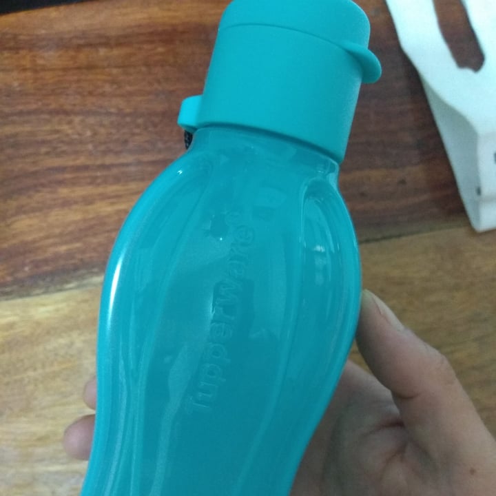 Tupperware Eco bottle Review | abillion