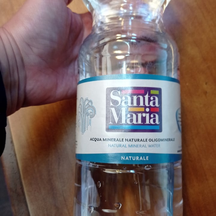 Santa Maria Acqua naturale Review | abillion