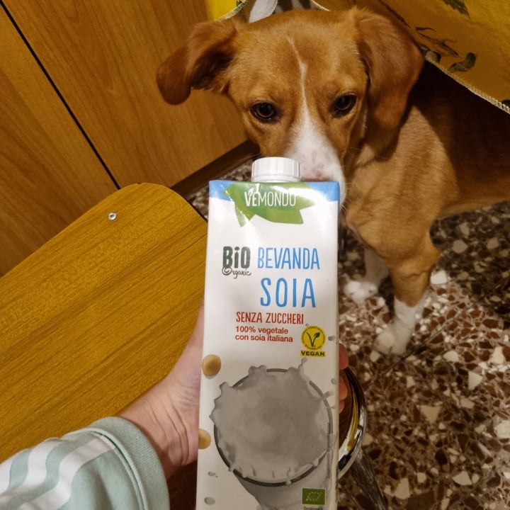 Vemondo Bio Bevanda Soia Review | abillion