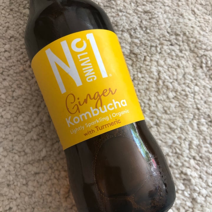 No. 1 Living Ginger Kombucha Review | abillion