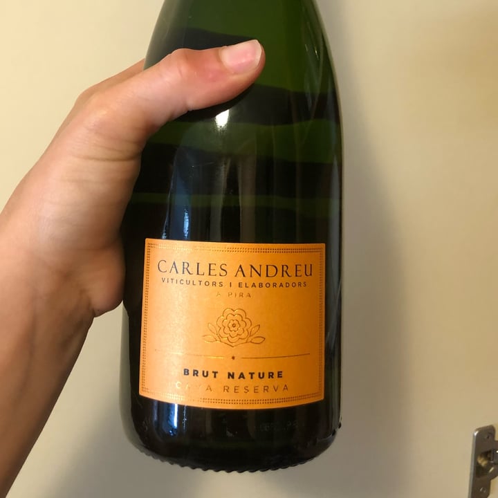 carles andreu Brut Review | abillion