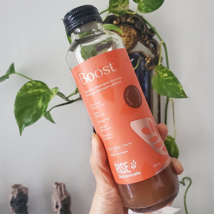 RISE Kombucha boost cocoa chai Review | abillion