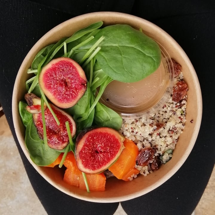 Nora Real Food Bowl Veggie Reviews | abillion