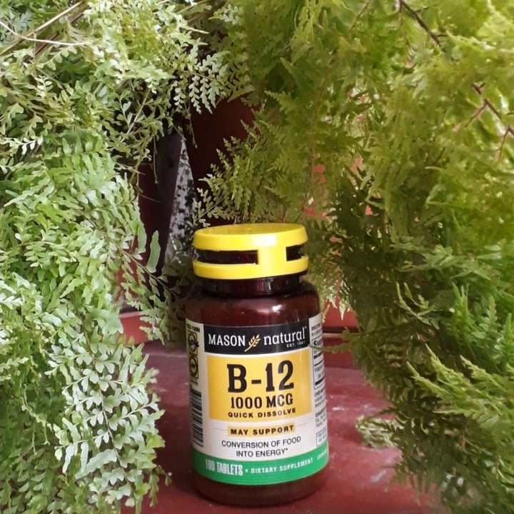 Mason natural Vitamina B12 Review | abillion
