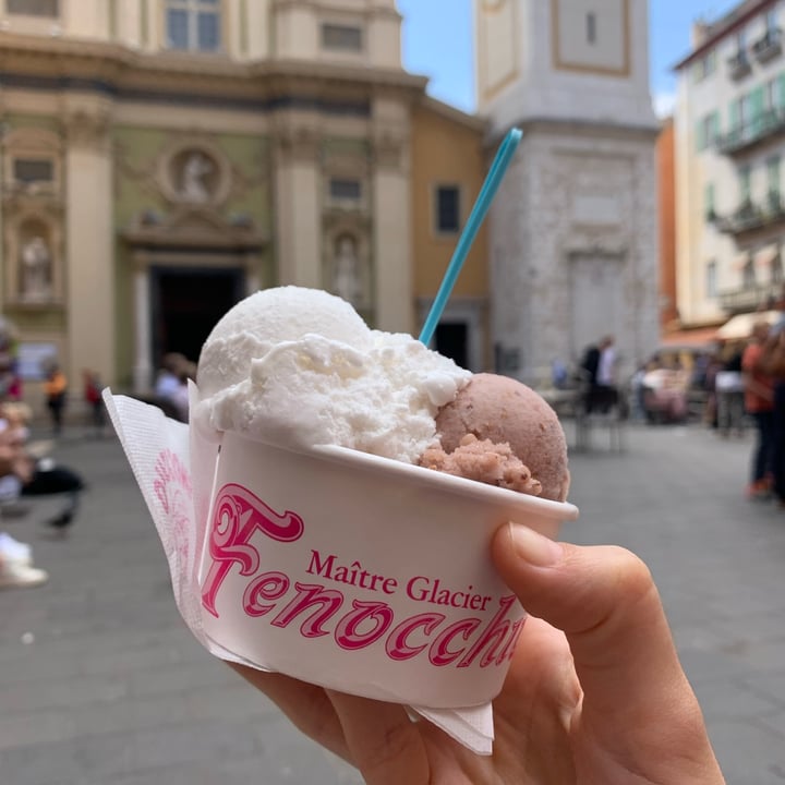 Fenocchio Nice, France Gelato Noix De Coco Review | abillion