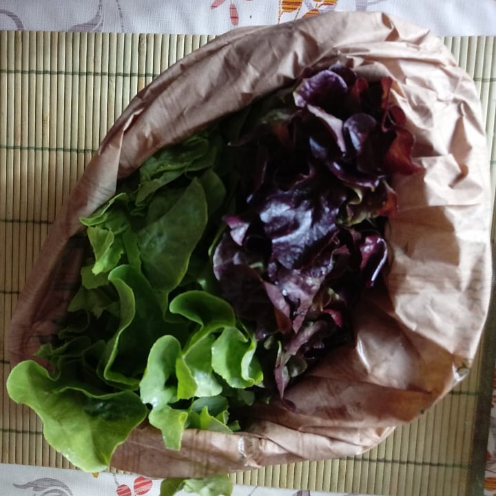 Cascina pizzo Insalata Gentile/lollo Review | abillion