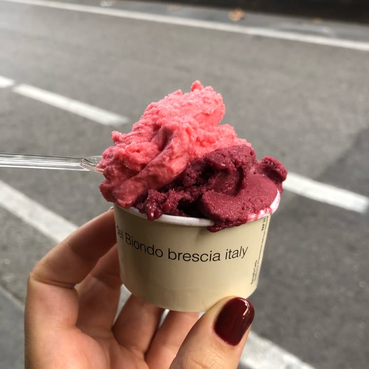 Gelateria Del Biondo Brescia, Italy Gelato uva americana e lampone ...