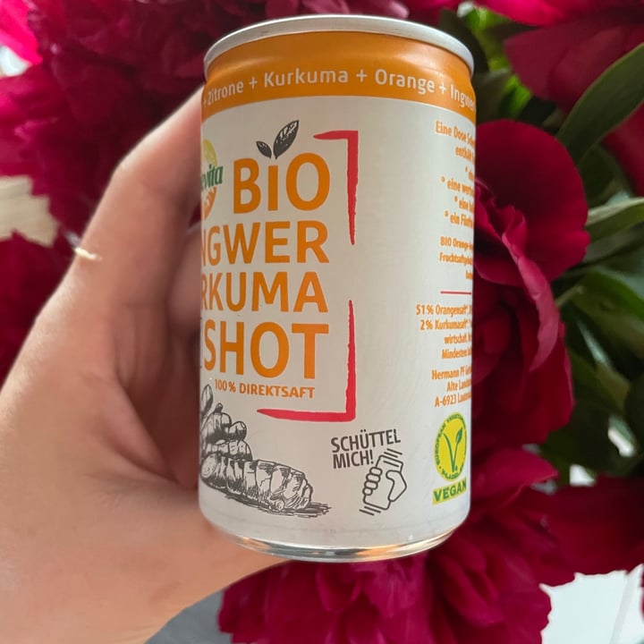 Solevita Bio Ingwer Kurkuma Shot Review | abillion