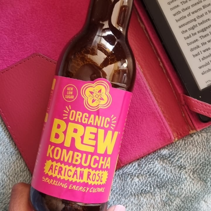 Organic Brew Kombucha African Rose Kombucha Review | abillion