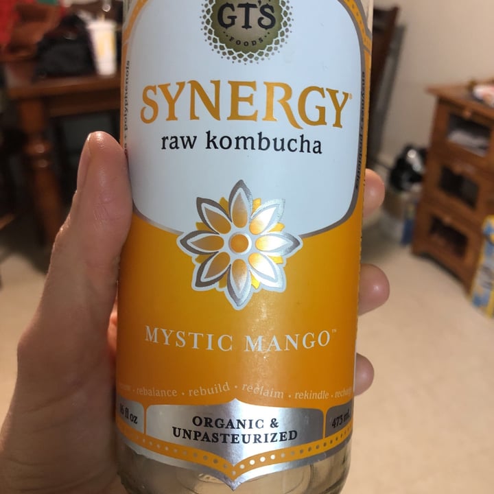 Synergy Mango Review | abillion