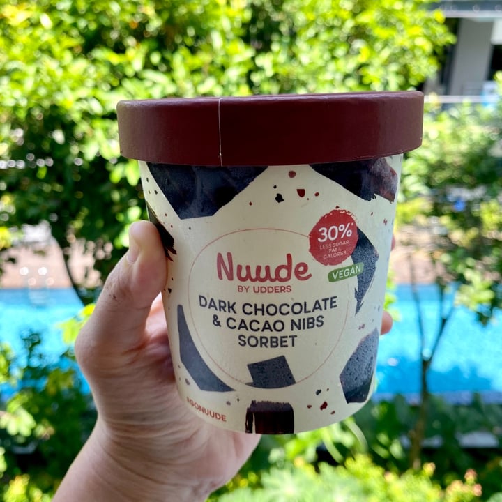 Nuude Dark Chocolate & Cacao Nibs Sorbet Review | abillion