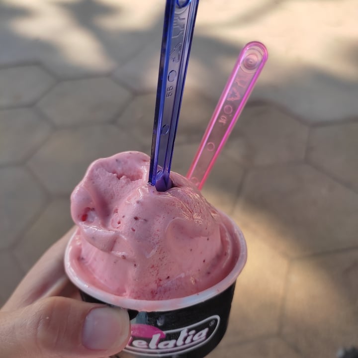 Gelatia Platja de la Pineda, Spain Helado De Fresa Review | abillion