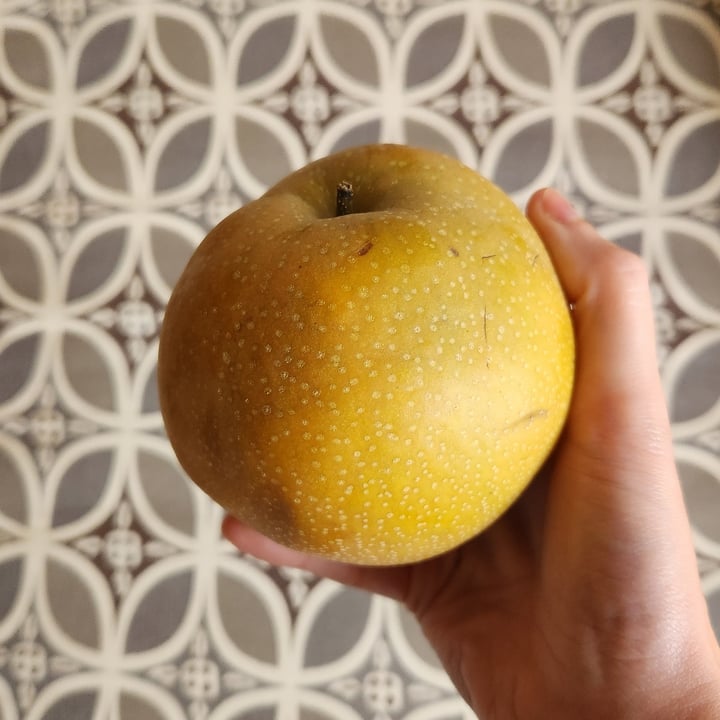 Asian Pear Asian Pear Review | abillion