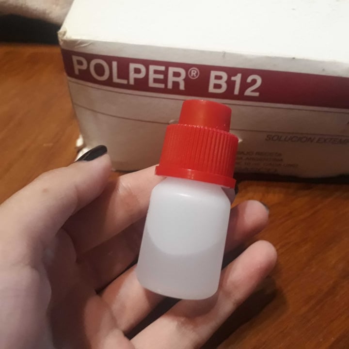Casasco Polper B12 Review | abillion
