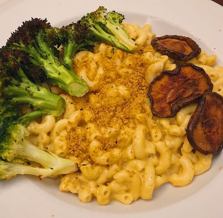 Veganized New Brunswick, United States Mackin Cheese Review | abillion