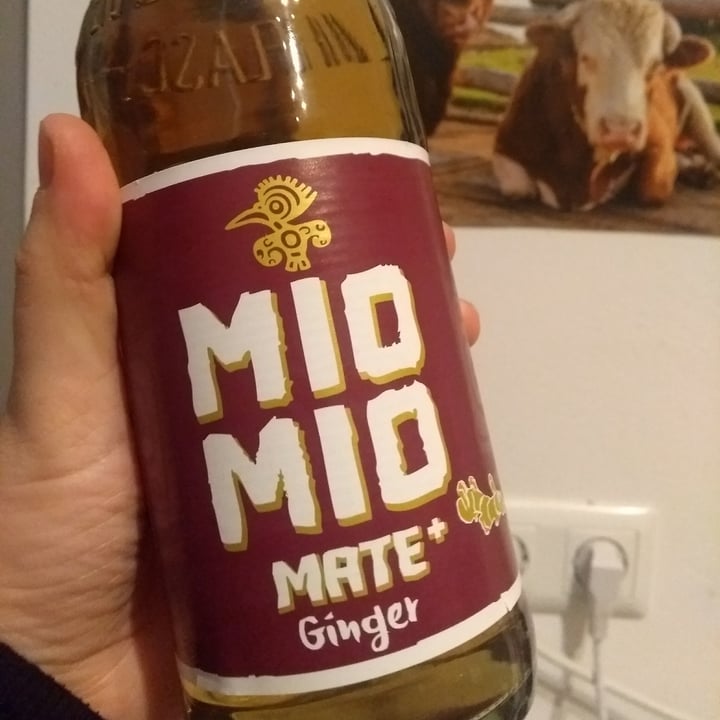 Mio Mio Mate With Ginger Review | abillion