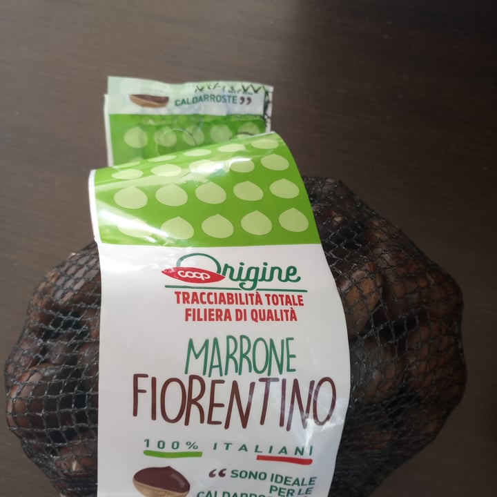 Origine Coop marrone fiorentino Review | abillion