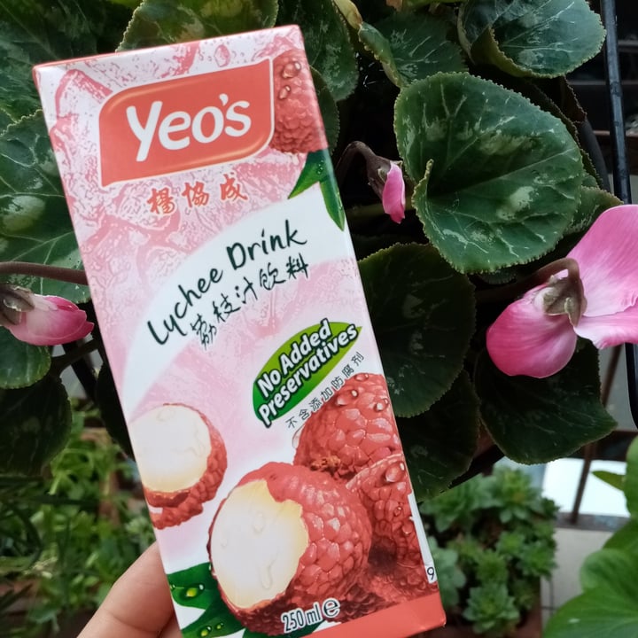 Yeo's Lychee Drink Review | abillion