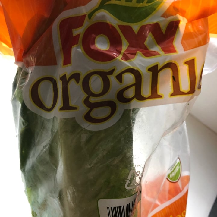 Foxy Organic organic romaine Review | abillion