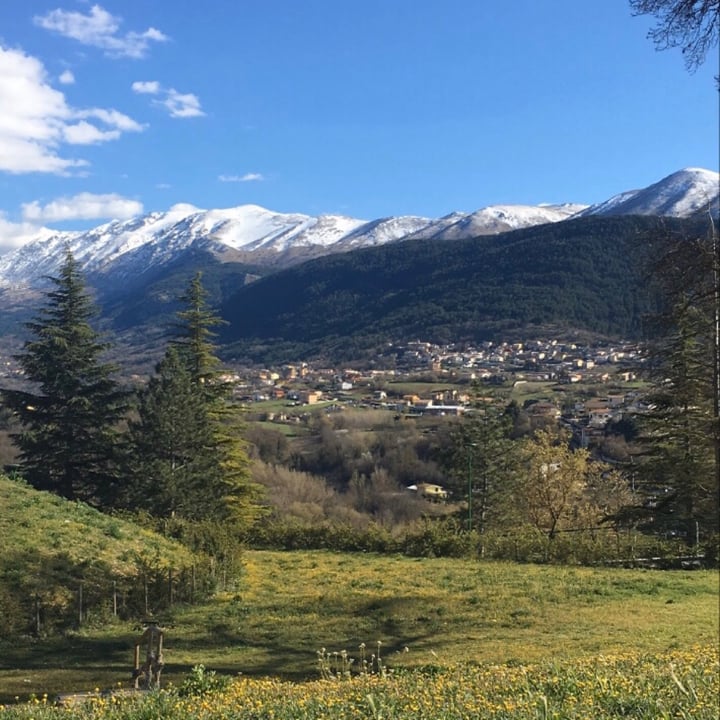 elisa (@telisa) | abillion