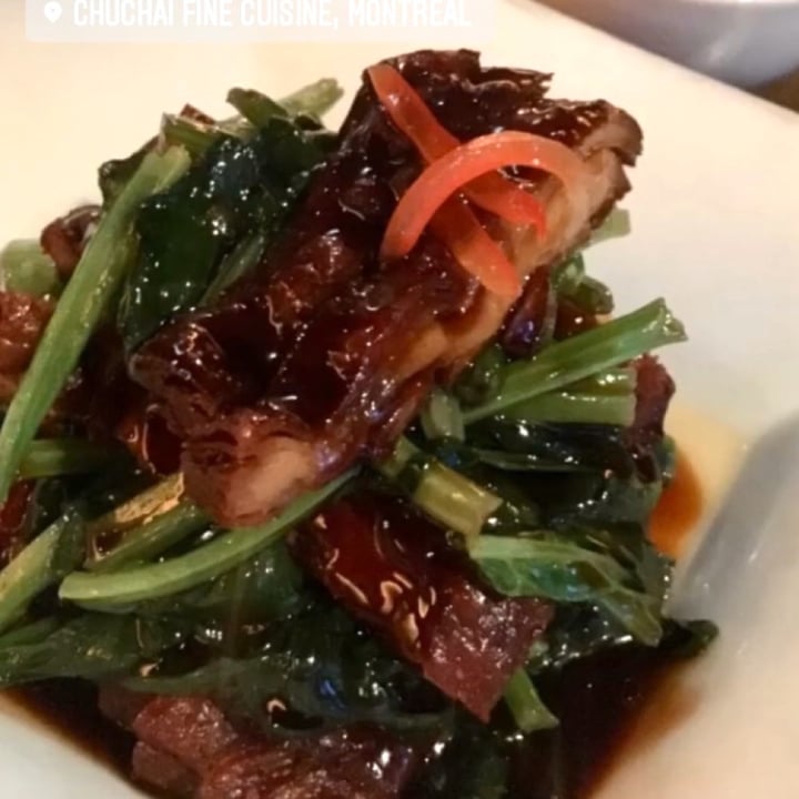 Chuchai Le Plateau-Mont-Royal, Montréal, Canada Duck Review | abillion