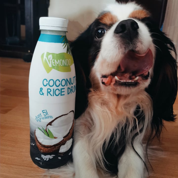 Vemondo Coconut & Rice Milk Review | abillion