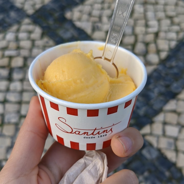 Gelados Santini Lisboa, Portugal Fruit Ice Cream Review | abillion