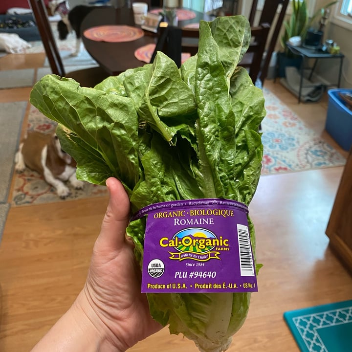 Cal-organic Organic Romaine lettuce Review | abillion