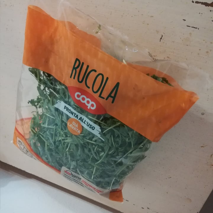 Coop Rucola Review | abillion