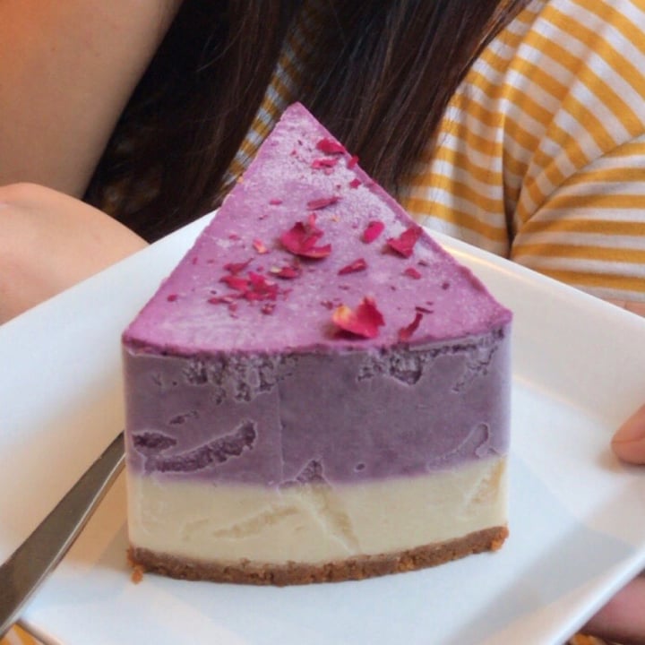 Must try Collection | abillion