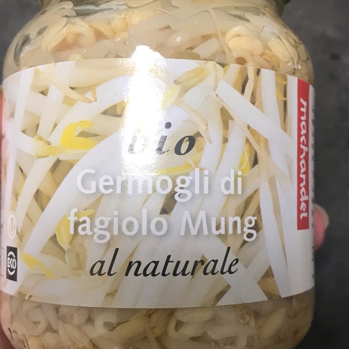 Machandel Germogli Di Fagiolo Mung Review | abillion