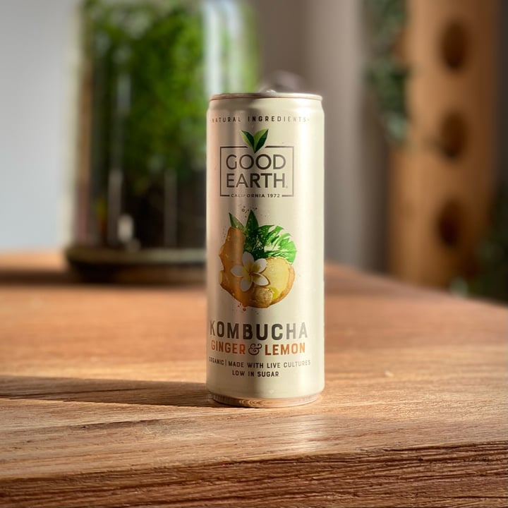 GOOD EARTH CALIFORNIA 1972 KOMBUCHA Ginger & Lemon Review | abillion