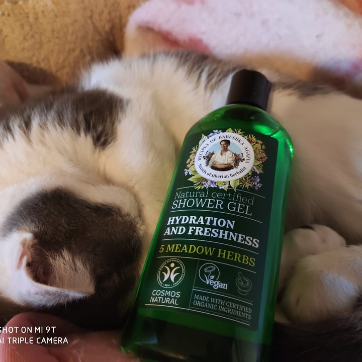Secrets of siberian herbalist Reviews | abillion