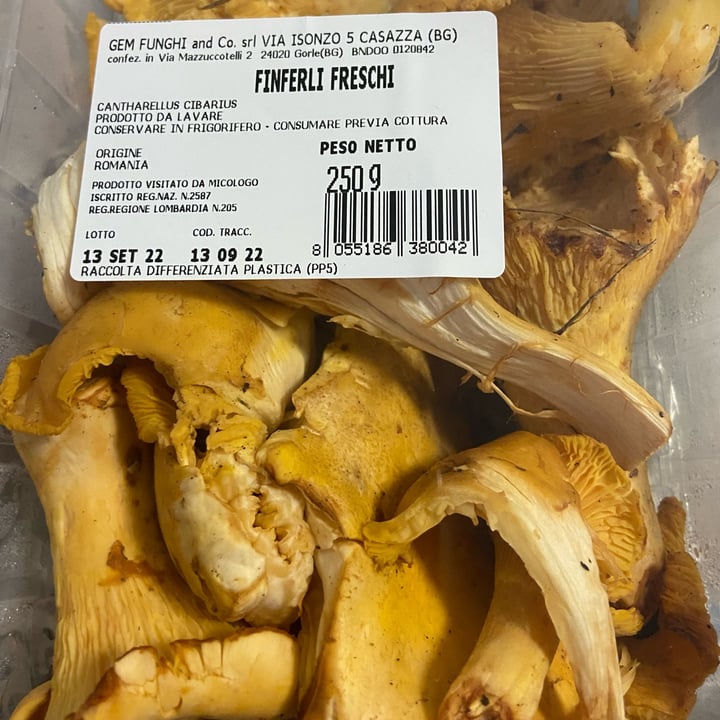 gem funghi funghi finferli Review | abillion