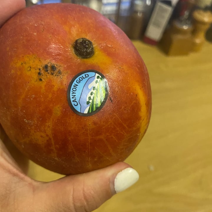 Canyon gold Mango Review | abillion