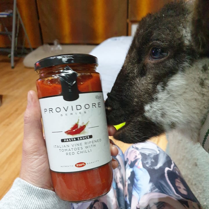 Providore series Chilli Tomato Pasta Sauce Review | abillion