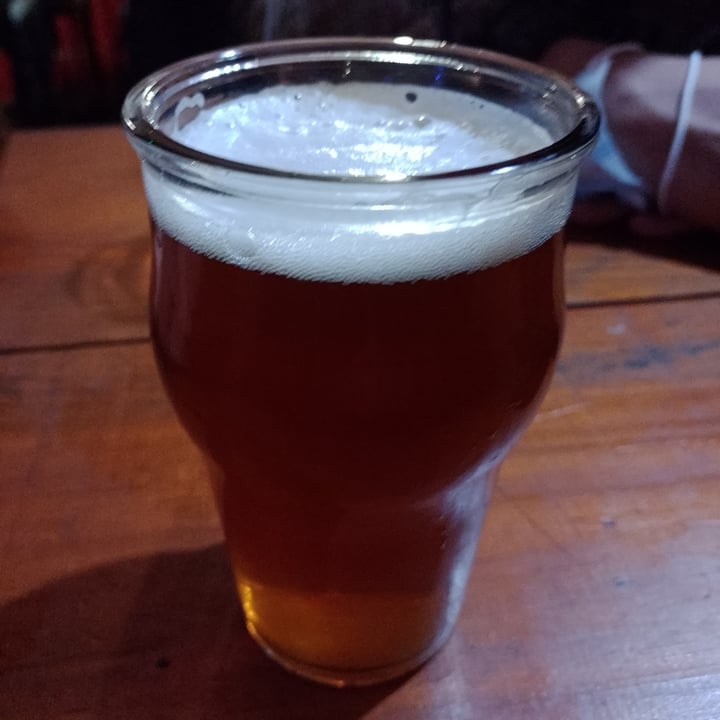 Taberna de Odín Pinta Ipa Review | abillion