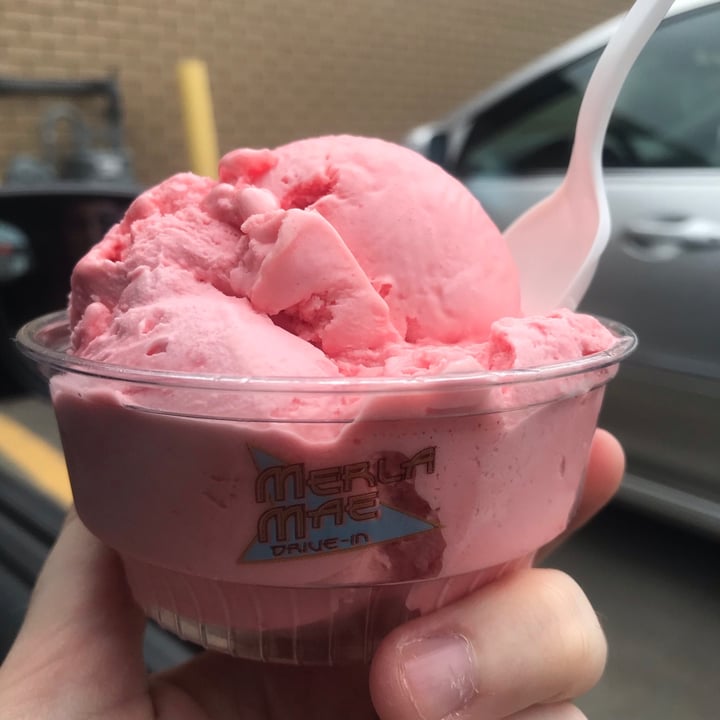Merla-Mae Ice Cream Thunder Bay, Canada Watermelon Sorbet Review | abillion