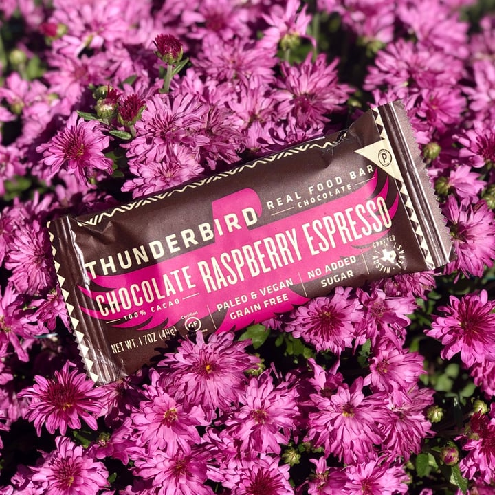 Thunderbird Chocolate Raspberry Espresso Real Food Bar Review | abillion