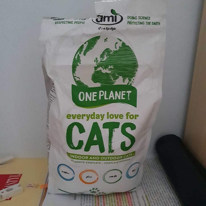 Ami Ami Cat Review | abillion